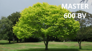 HGW COLOMBIA - OPORTUNIDAD DE NEGOCIO