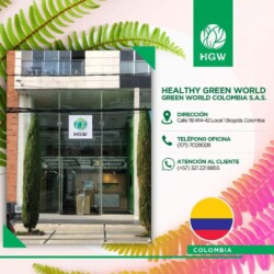 Oficinas Corporativas HGW